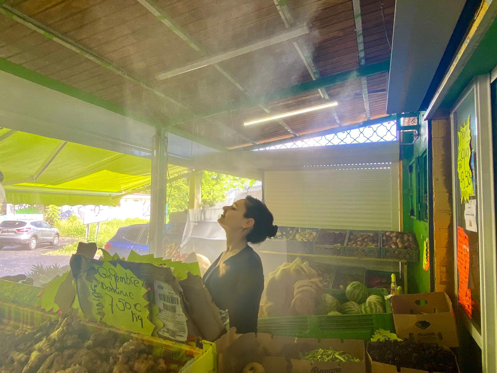 Fruit and vegetable preservation by fogging - OA6